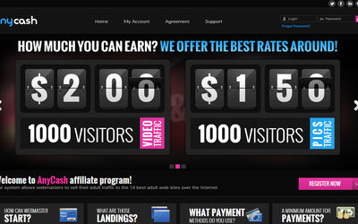 AnyCash Review - Adult Affiliate Network | ADSWikia